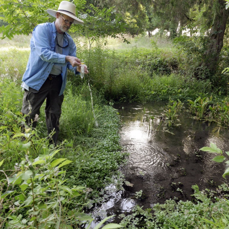 Great Trinity Forest Gateway and Horse Trail