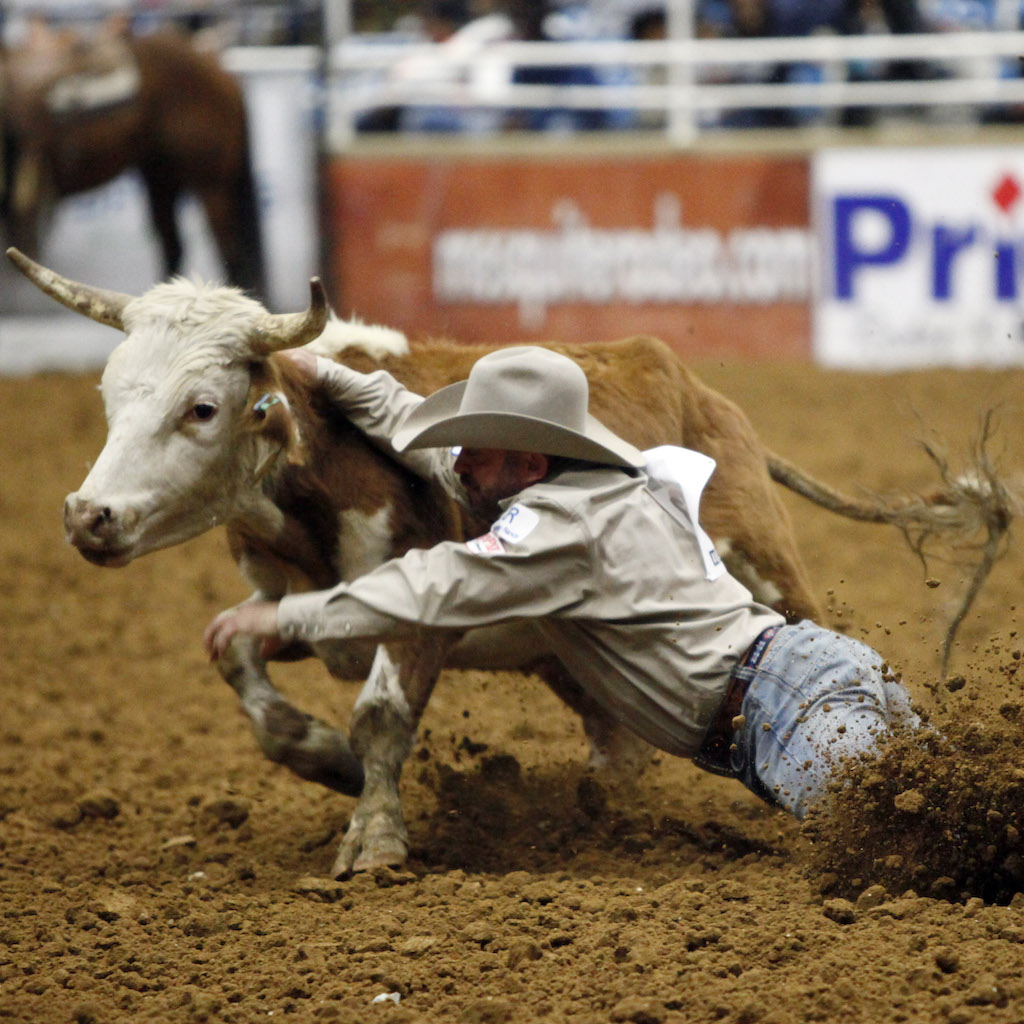 Mesquite Rodeo