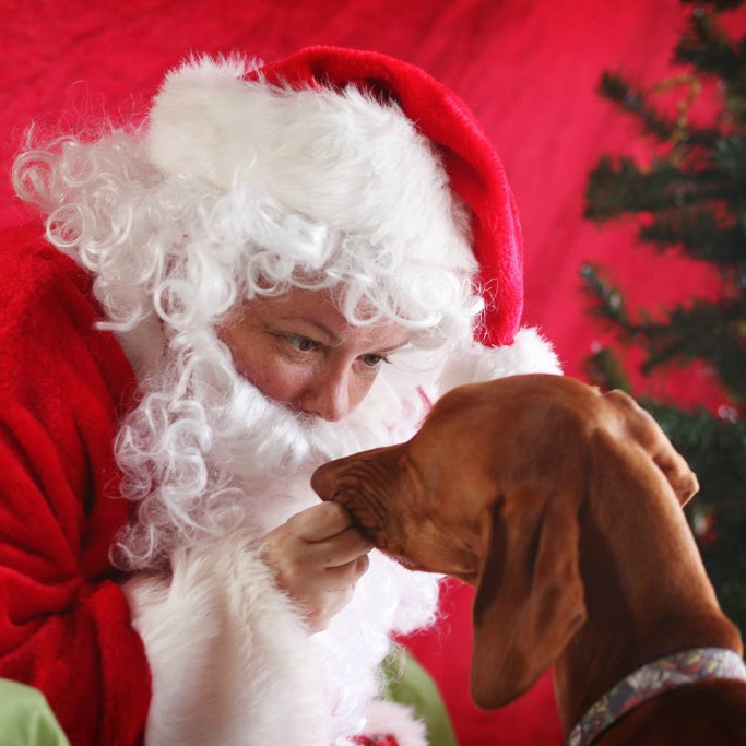 Holiday Photos With Santa Paws