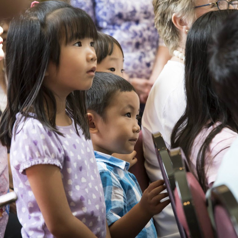 Steve Trash: The Science of Ecology