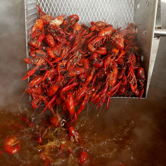 Epiphany Crawfish Boil and Pop-Up Art Sale